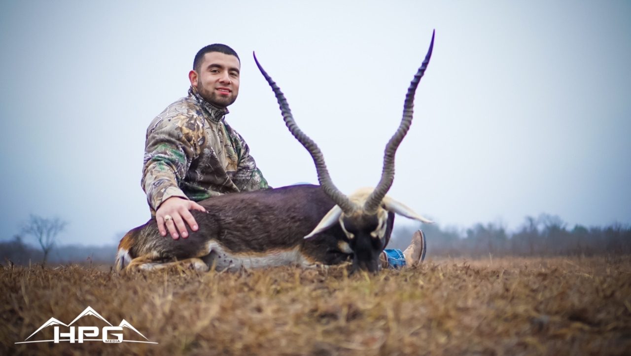 Blackbuck Hunt in Texas | Blackbuck Hunting Packages | Cotton Mesa ...