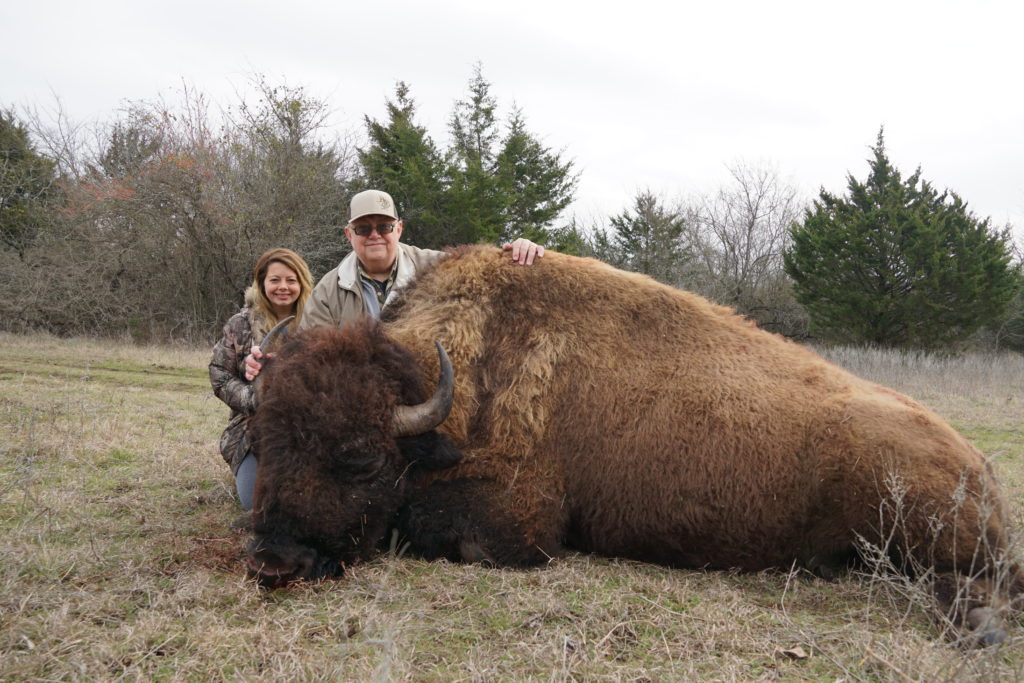 American Bison Hunt in Texas | American Bison Hunting Packages | Cotton ...