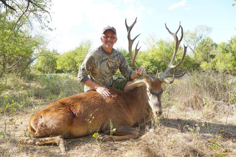 Red Stag Hunt in Texas | Red Stag Hunting Packages | Cotton Mesa ...