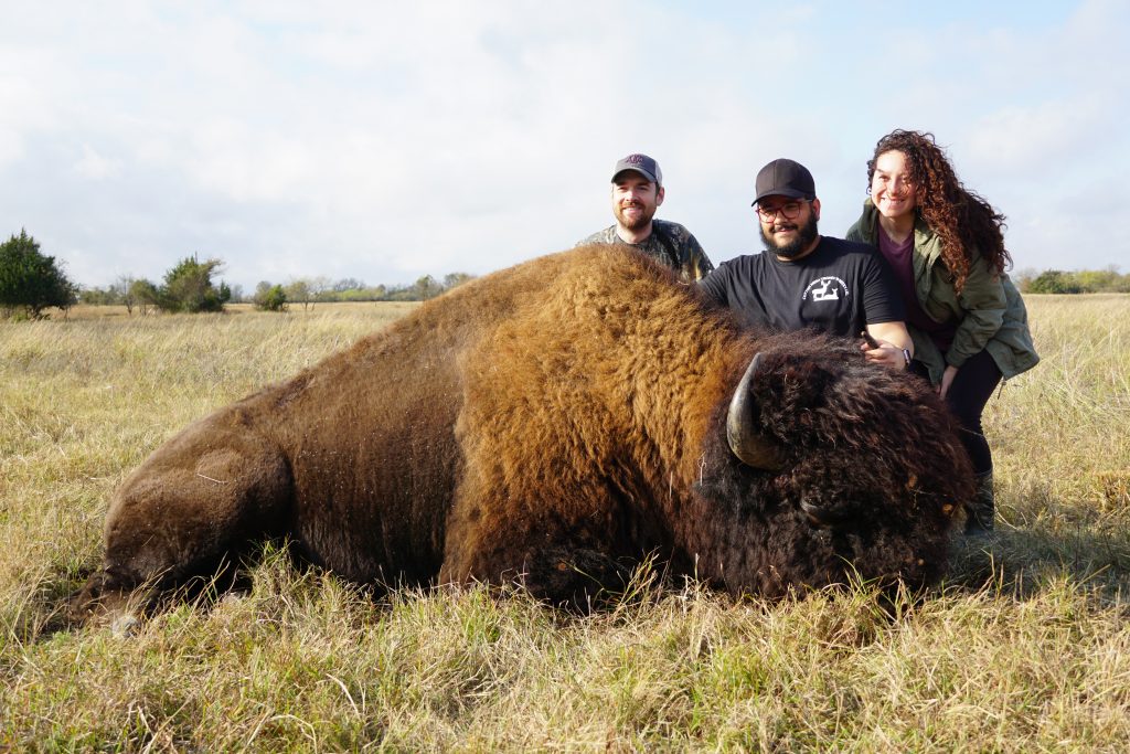 American Bison Hunt in Texas | American Bison Hunting Packages | Cotton ...