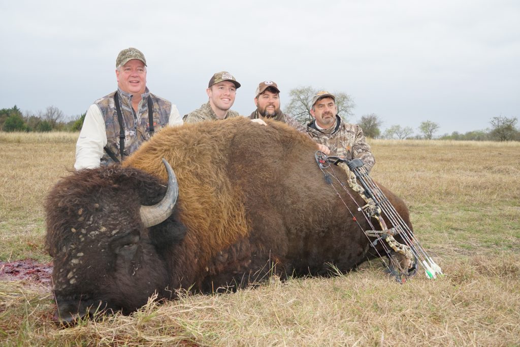 American Bison Hunt in Texas | American Bison Hunting Packages | Cotton ...