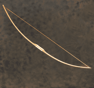 Choose the correct bow for your hunting - Cotton Mesa Whitetails, Texas