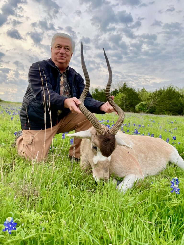 Addax Hunt in Texas | Addax Hunting Packages | Cotton Mesa Whitetail ...